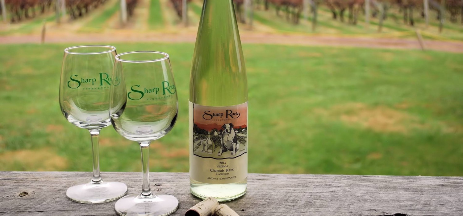 Sharp Rock Vineyards | Sharp Rock Vineyards